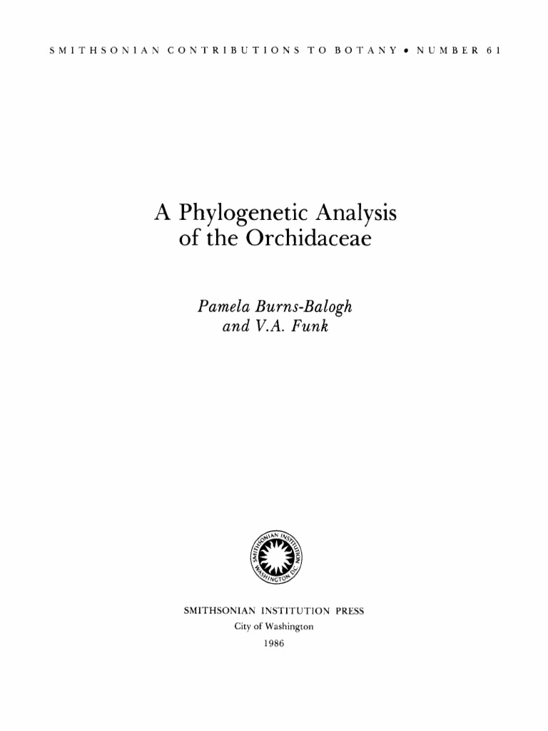 A Phylogenetic Analysis | PDF | Phylogenetics | Biological Classification