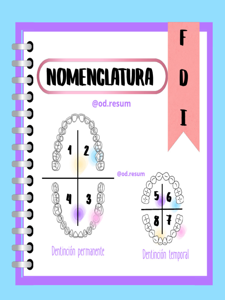 Nomenclatura FDI | PDF