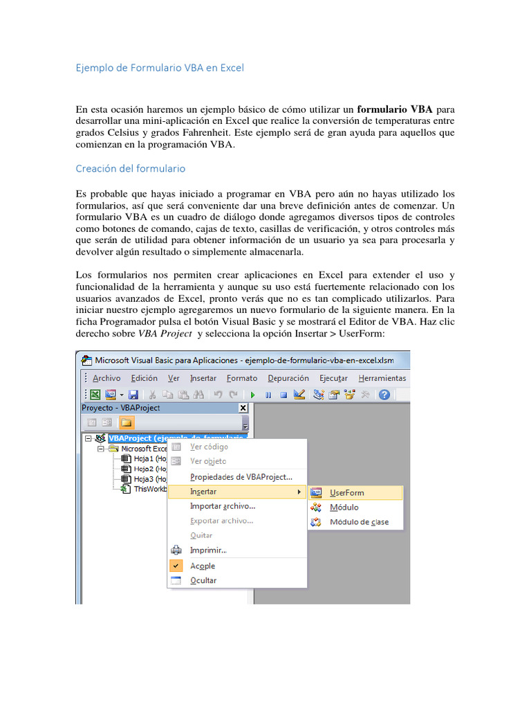 5. Ejemplo de Formulario VBA en Excel | PDF | Microsoft Excel | Ventana (informática)