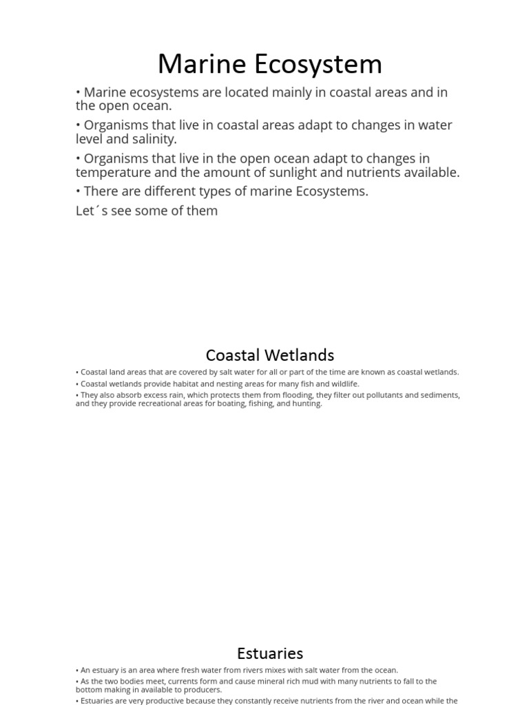 Marine Ecosystems | PDF | Estuary | Plankton