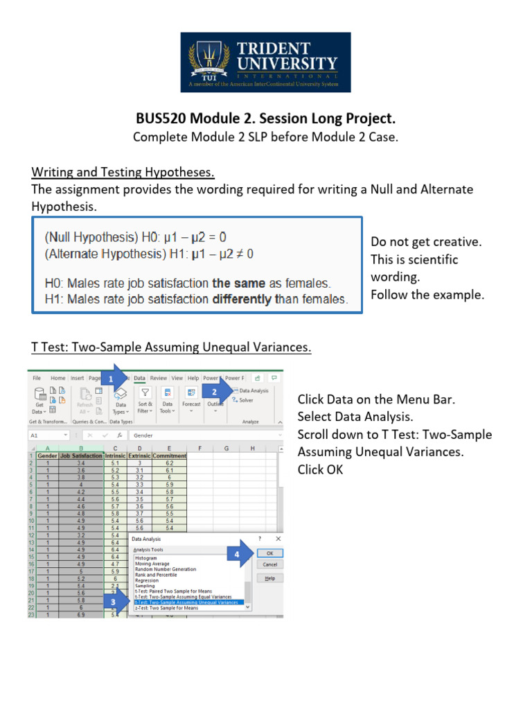 BUS520 SLP2 Assignment Guide | PDF