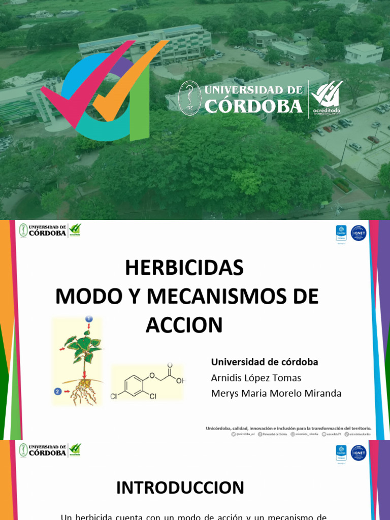 Herbicidas - Modo y Mecanismo de Accion | PDF | Inhibidor de la enzima ...