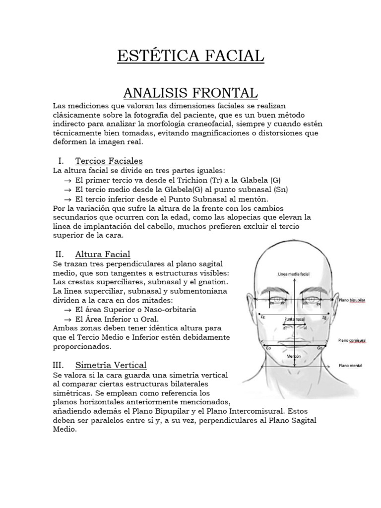 Analisis Facial Pdf Cara Ortodoncia