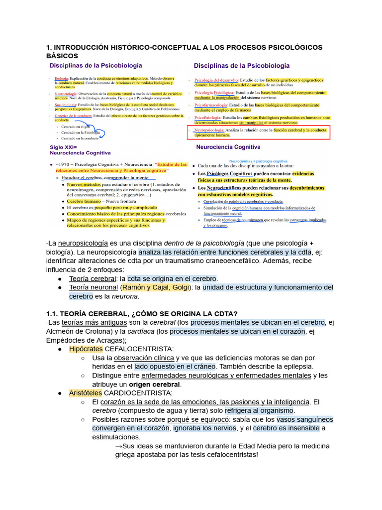 T1 - Introducción A Los Procesos Psicobiológicos Básicos | PDF | Neuroimagen | Cerebro