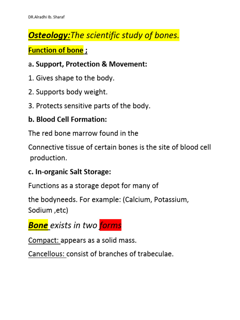 Bone | PDF | Bone | Skull
