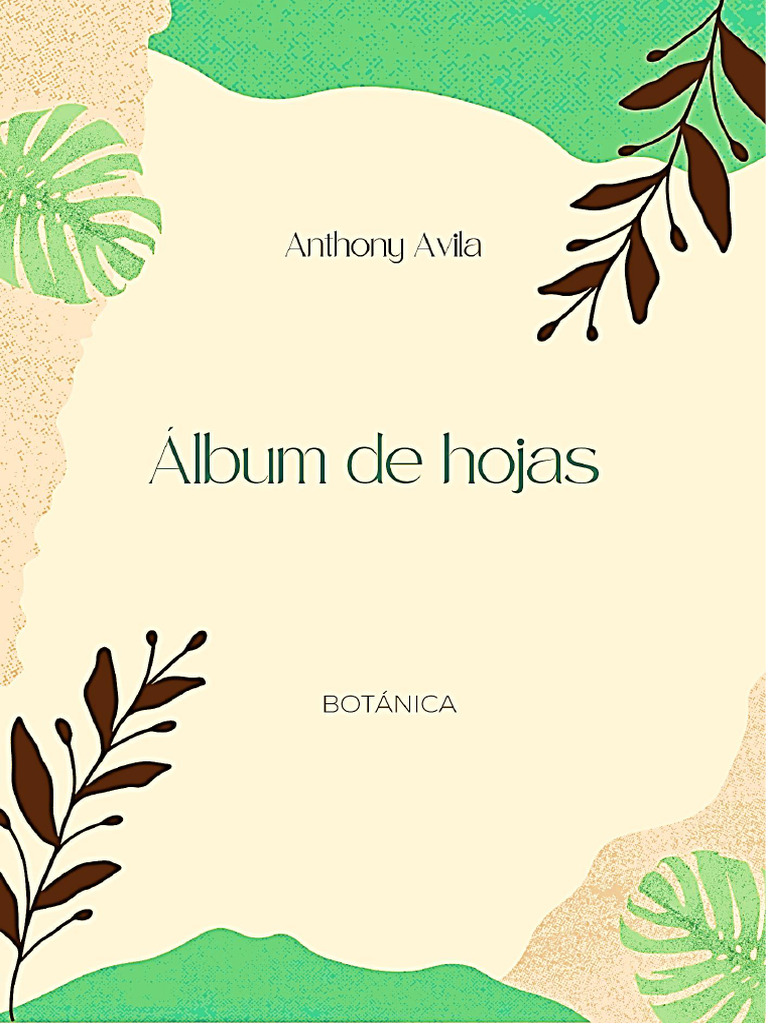 Clasificación de Tipos de Hojas | PDF | Plantas | Botánica