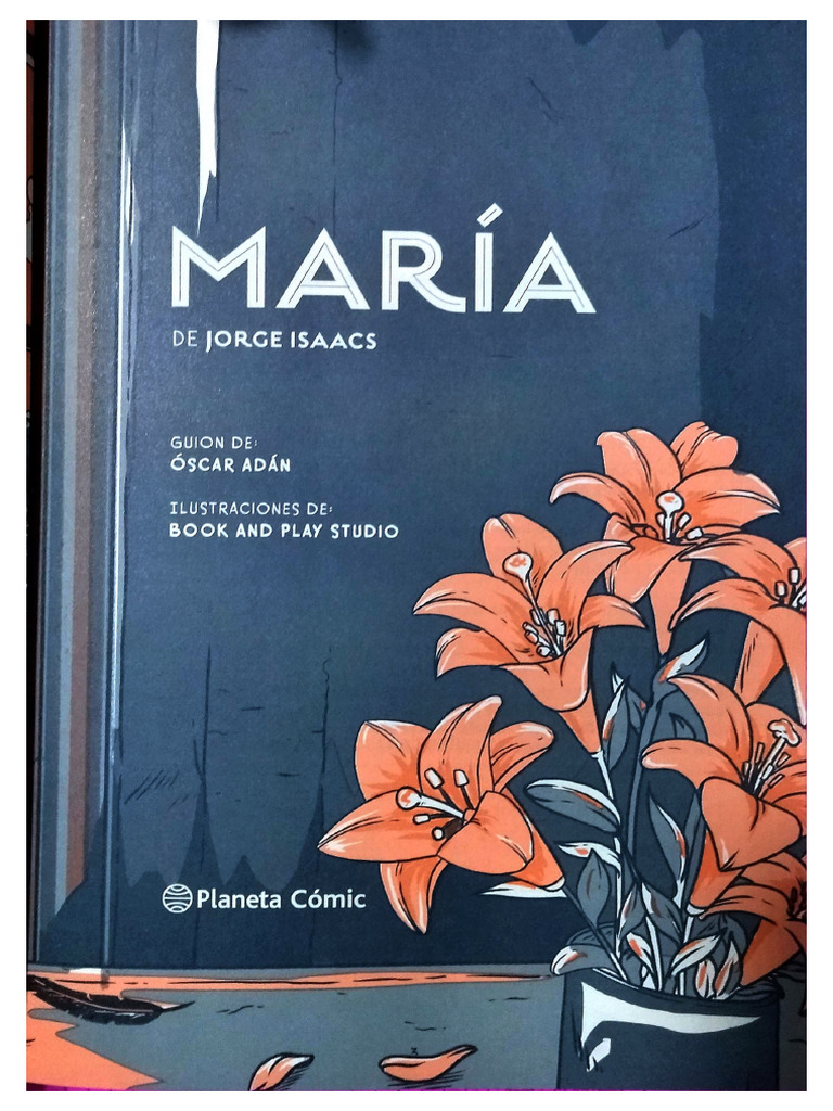 Obra María Libro Albúm | PDF