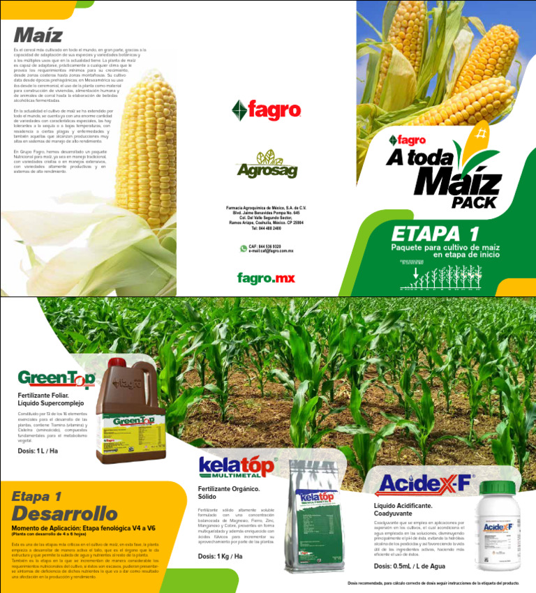 Triptico Pack Maiz Etapa 1 V1 Abr21 Web | PDF | Maíz | Fertilizante