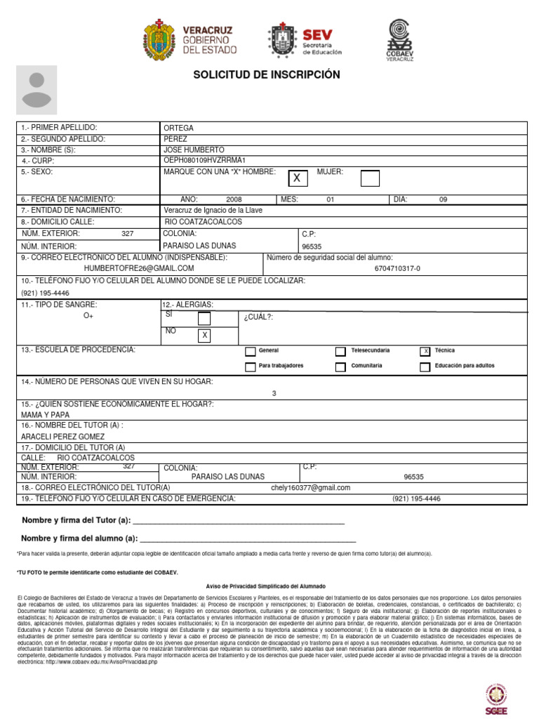 Formato Del Cobaev | PDF