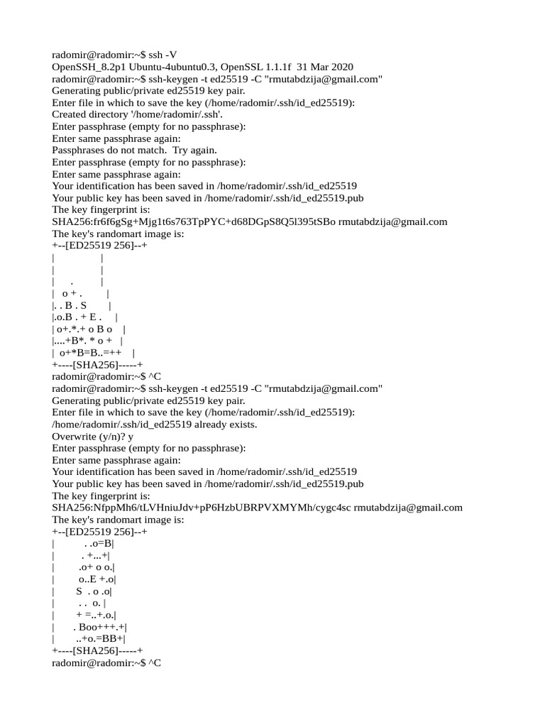 Tricet | PDF | Software Engineering | Computer Architecture