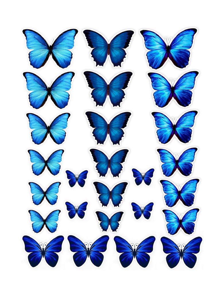 Planilla de Mariposas Azules | PDF