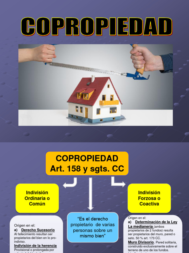 Conceptos Clave de Copropiedad y Indivisión | PDF
