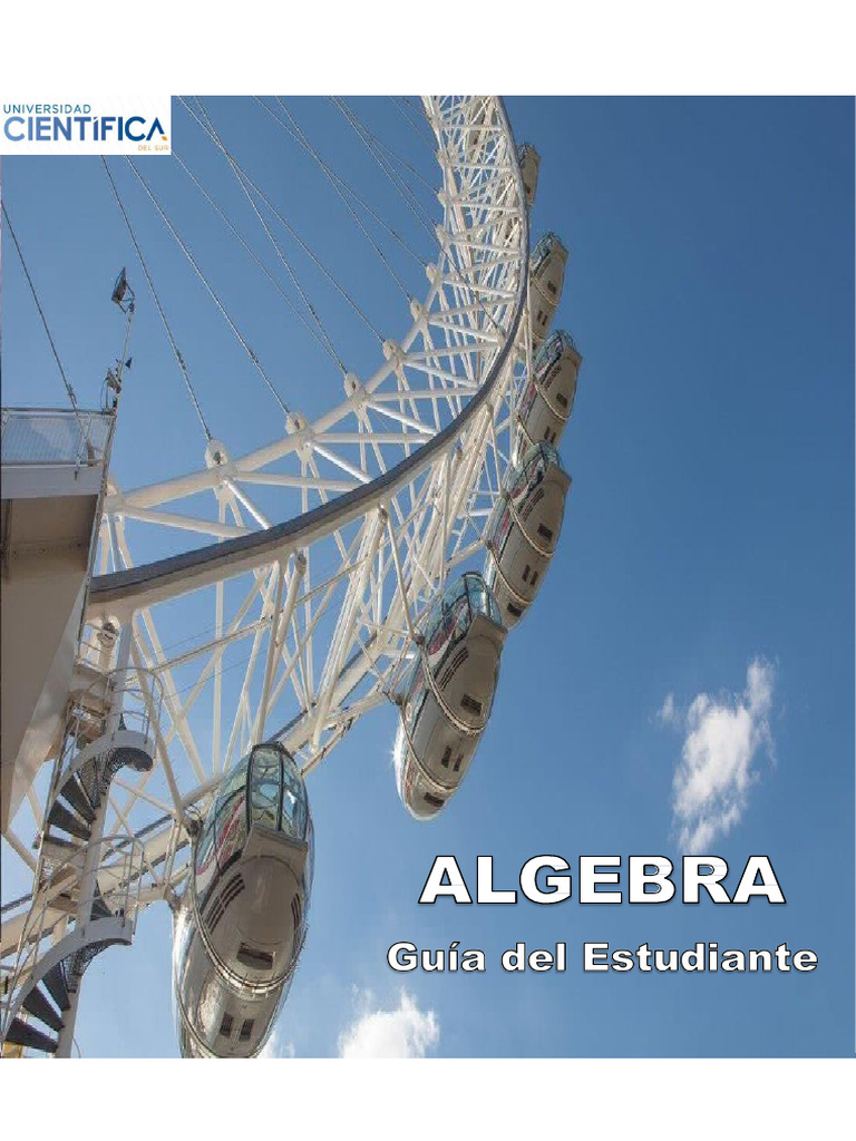 Guía de Álgebra - 2024 | PDF | Ecuaciones | Vacunas