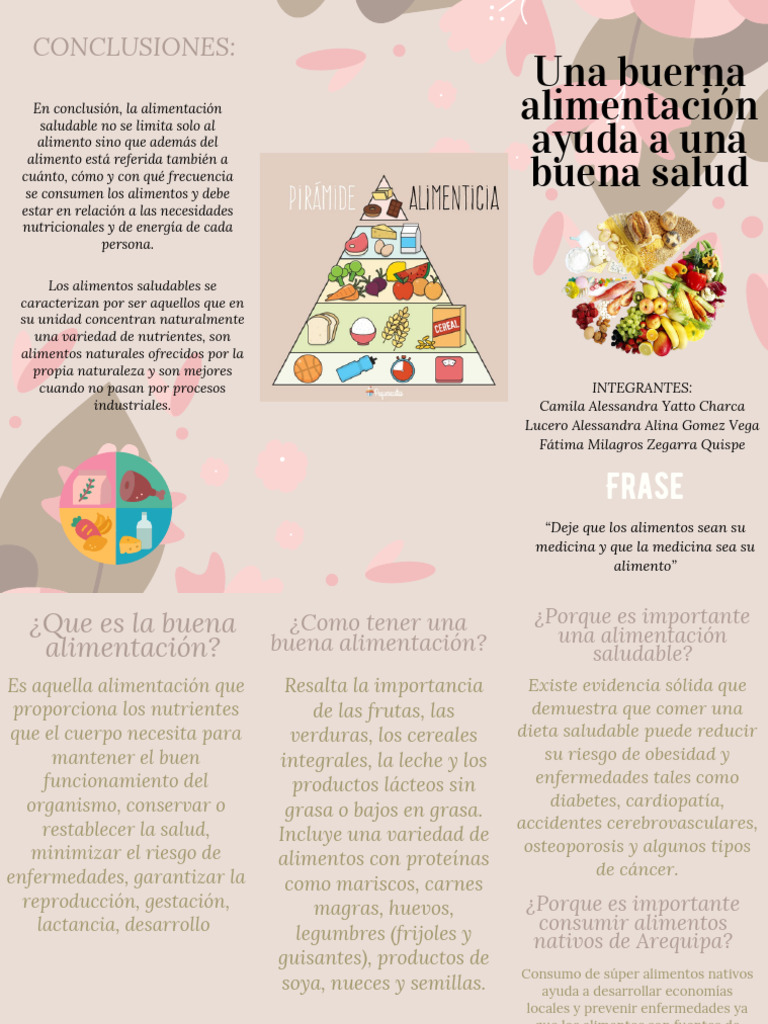 Alimentación Saludable Pdf Alimentos Dieta Saludable