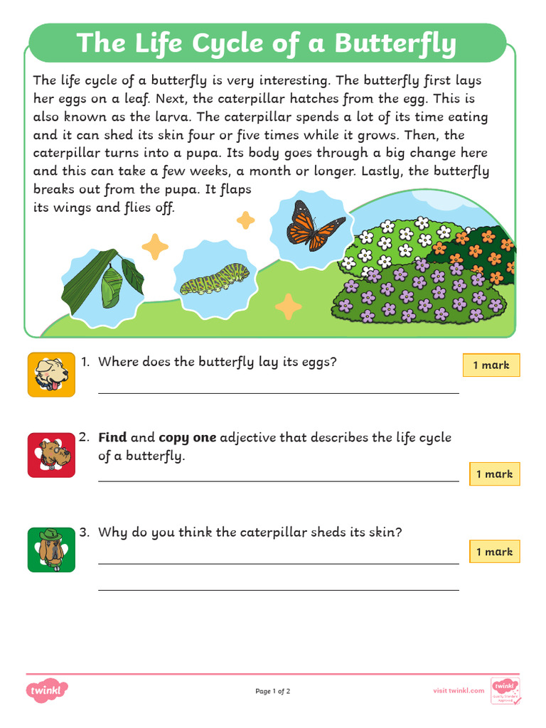 Home Learning Link - The Life Cycle of A Butterfly | PDF | Butterfly | Pupa
