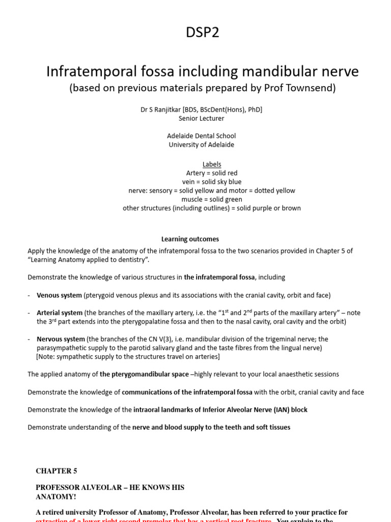 4 Infratemporal Region Slides 2019-1 | PDF | Human Anatomy | Human Head ...