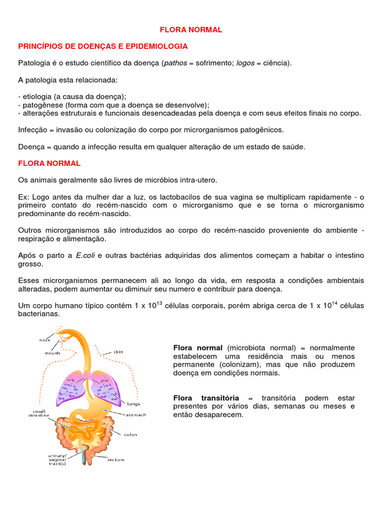 Aula 1 Flora Normal | PDF | Microrganismo | Bactérias