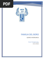 Familia Del Boro | PDF