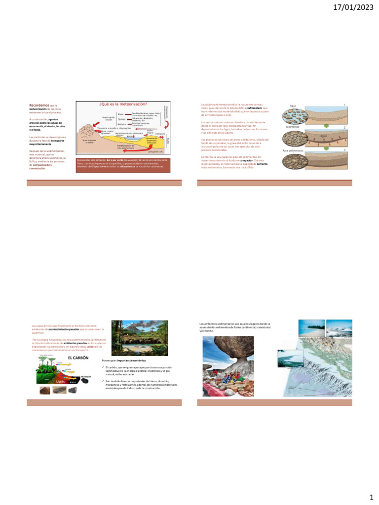 Rocas sedimentarias. Genesis | PDF | Roca clástica | Roca (geología)