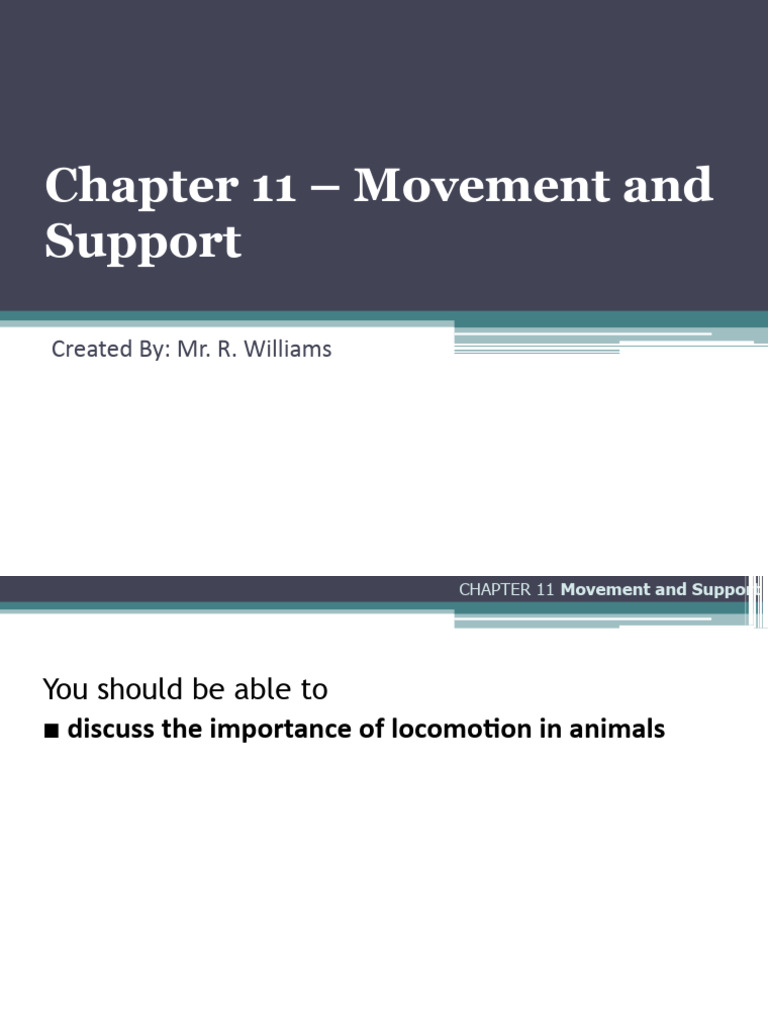 Chapter 11 - Movement and Support | PDF | Skeleton | Vertebral Column