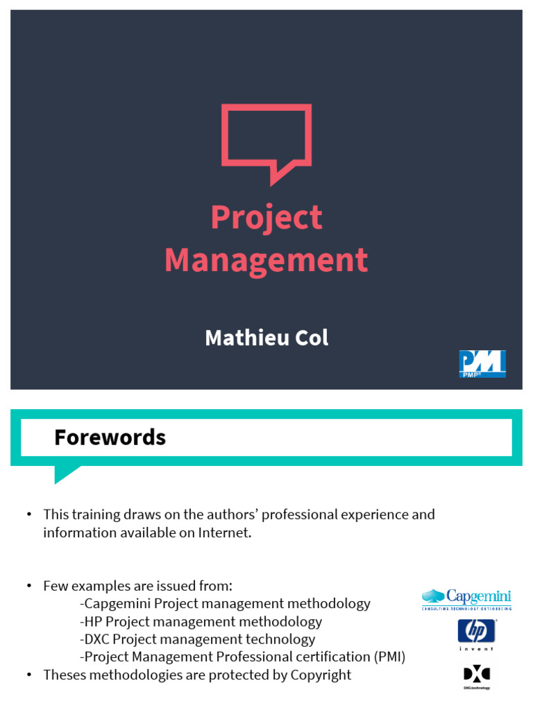 Chapter 1 Project Definition | PDF | Project Management | Software Development Process