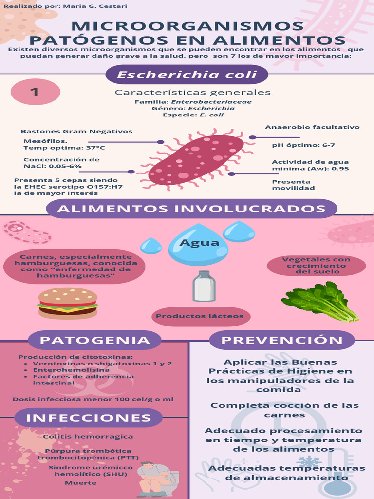 Infografía Patogenos en Alimentos | PDF