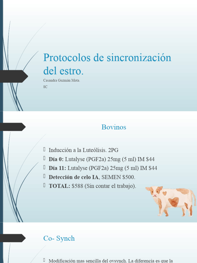 Protocolos de Sincronización Del Estro | PDF