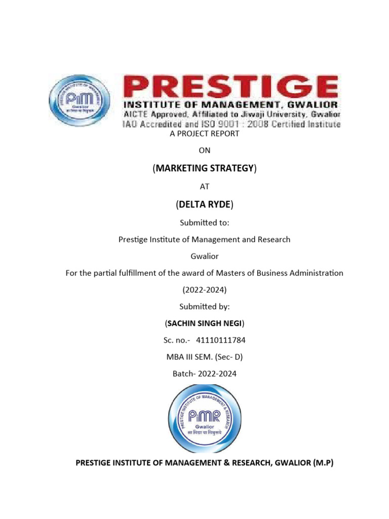 MBA Final Year Internship Report | PDF | Marketing | Popular Culture ...