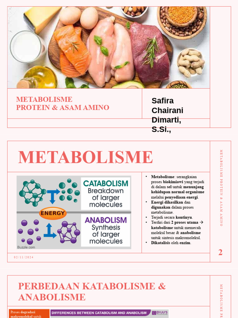 Metabolisme Protein Asam Amino | PDF