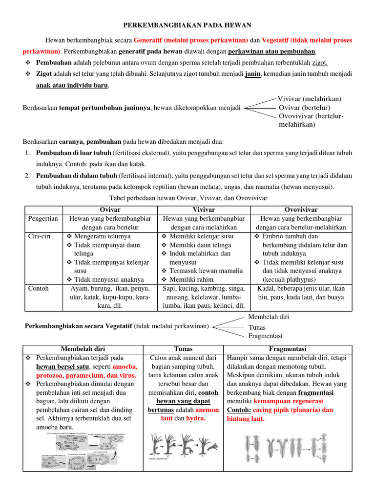 Sistem Perkembangbiakan Hewan Kelas 9 | PDF