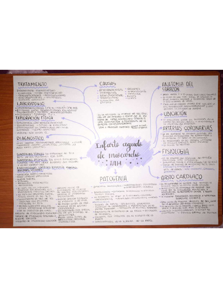 Mapa Mental IAM | PDF