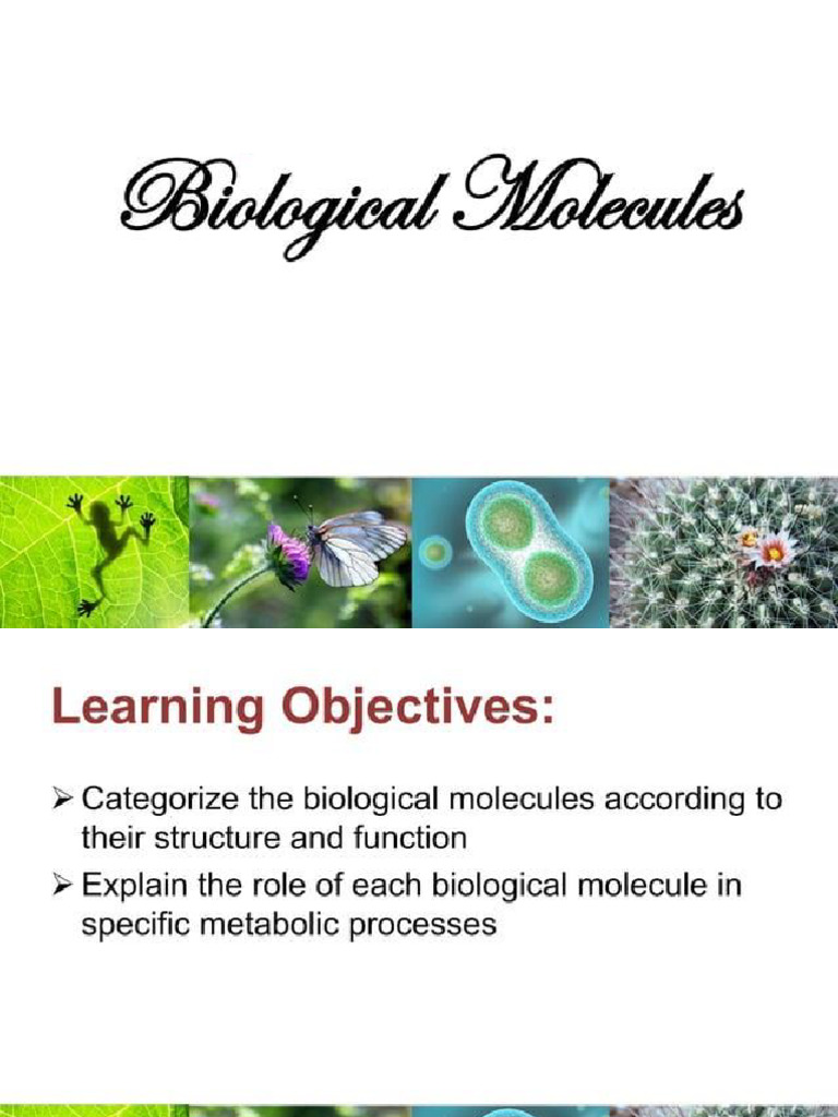 Biological Molecules | PDF