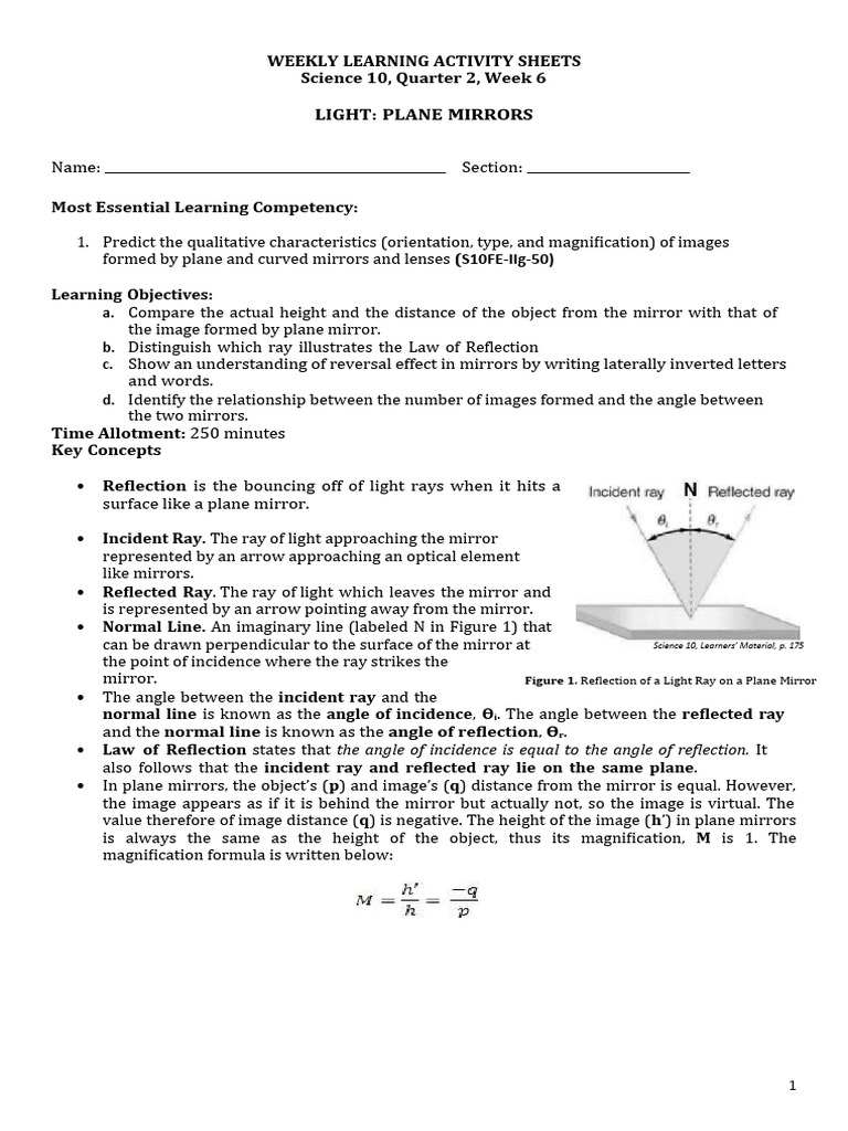 S10 Q2 Week-6 | PDF | Mirror | Reflection (Physics)