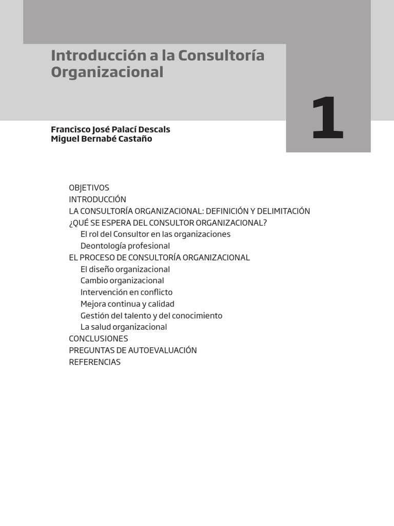 Introducc A La Consultoria Org | PDF