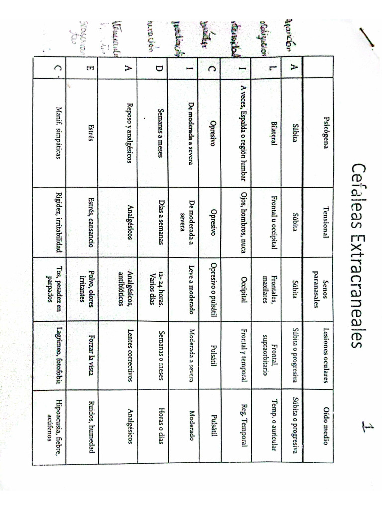 Alicidaec Del Dolor | PDF