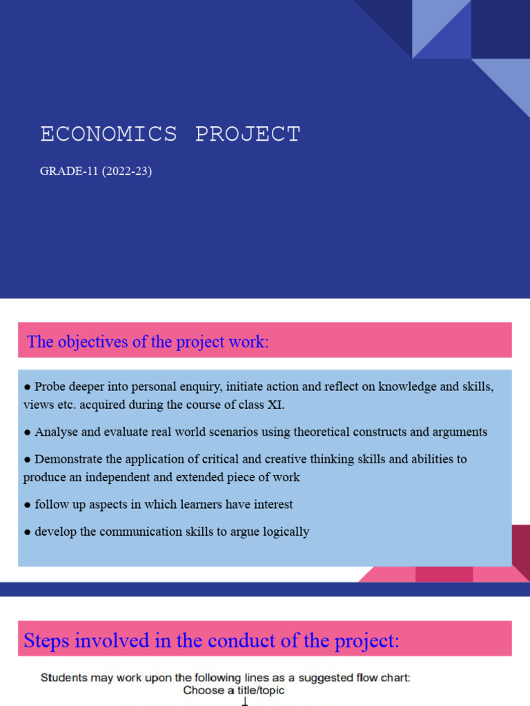 Economics Project Grade 11 | PDF