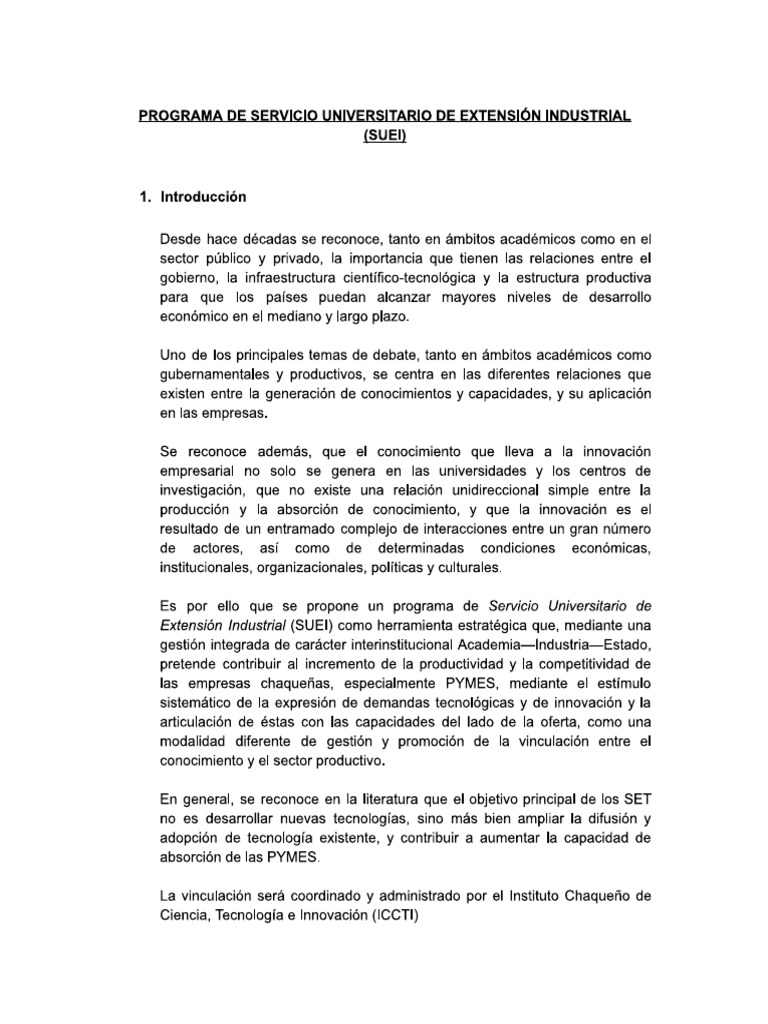 Bases y Condiciones SUEI | PDF