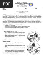 Wet Mount Technique in Microbiology | PDF | Microscope | Bacteria