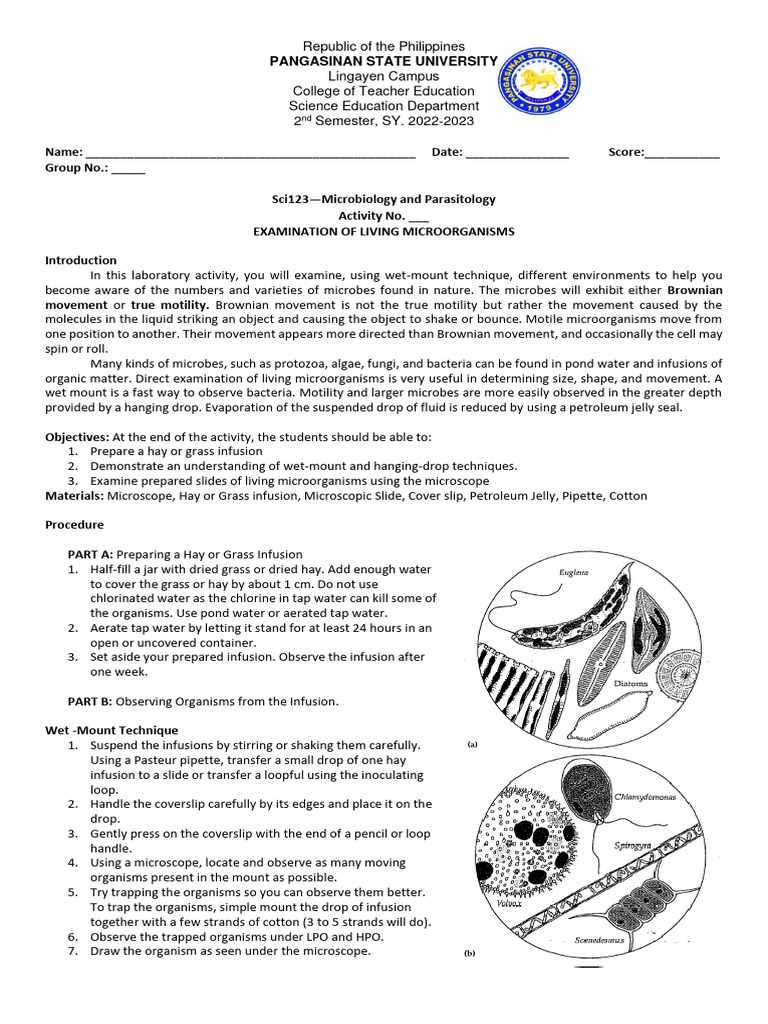 Examining Living Microorganisms Techniques | PDF | Microorganism ...