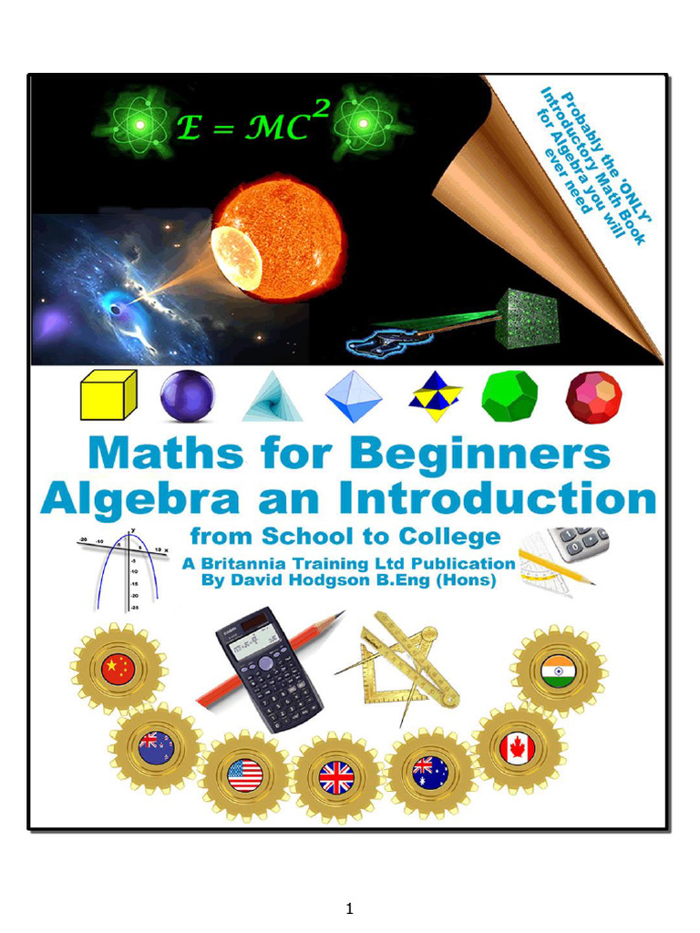 (From School To College Introductory Math Series Book 6) David Hodgson ...