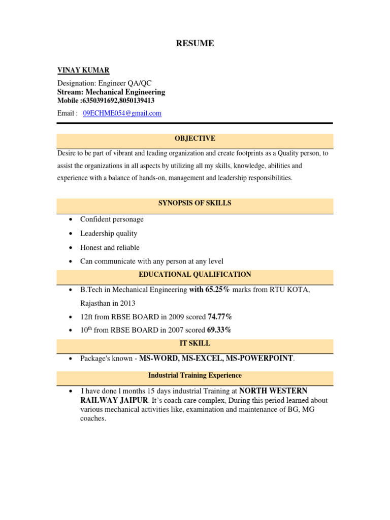 Vinay Resume | PDF