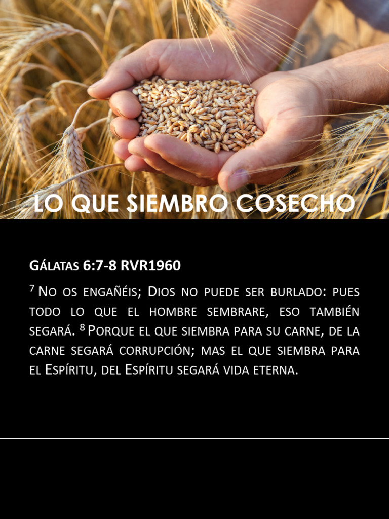 Lo Que Siembro Cosecho | PDF