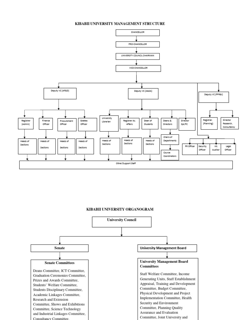 Kibabii University Management Structure | PDF