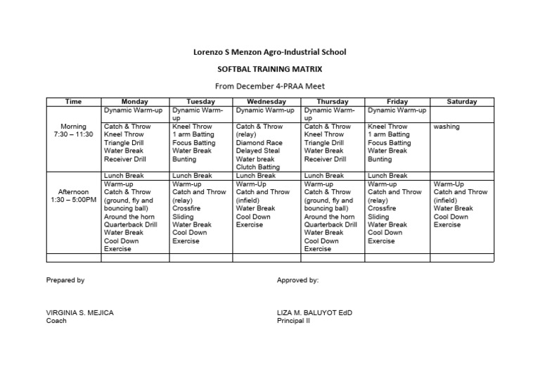Training Matrix Softball Pdf Softball Batting Baseball