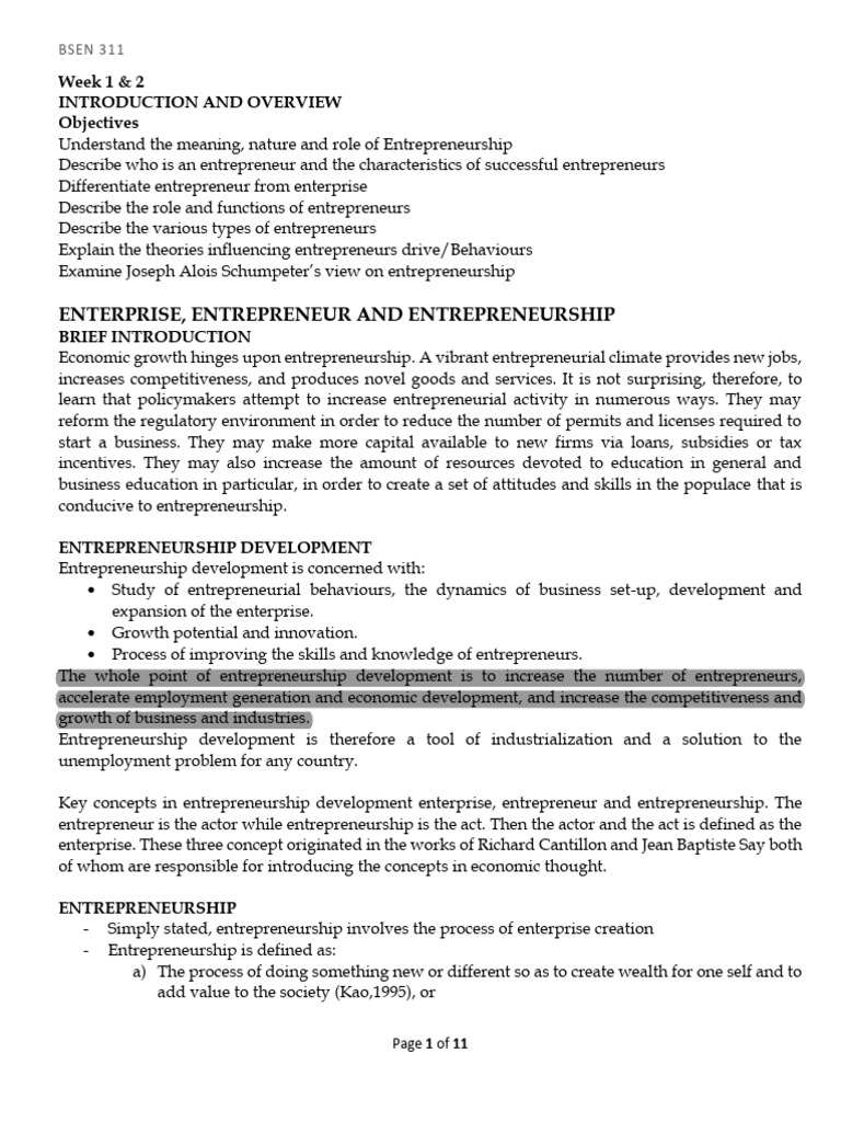 Entrepreneurship Basics for Students | PDF | Entrepreneurship | Business