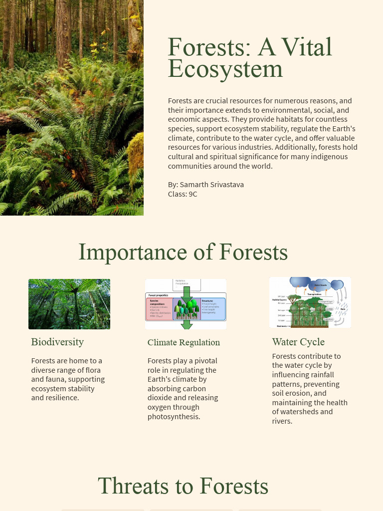 Forests A Vital Ecosystem Pdf Forests Deforestation