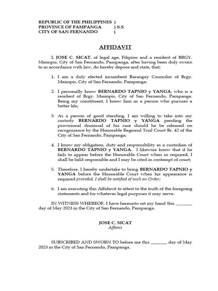 Affidavit For Recognizance | PDF