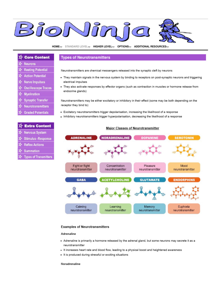 Types of Neurotransmitters - BioNinja | PDF | Neurotransmitter | Neuron