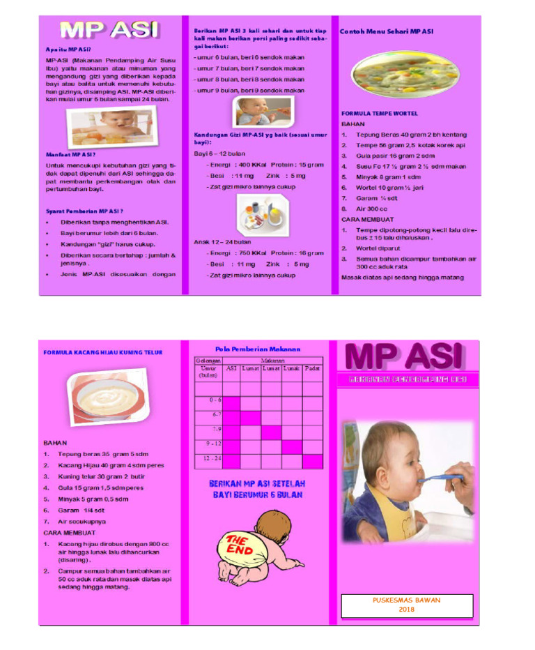 Leaflet MPS-ASI PUTRI | PDF