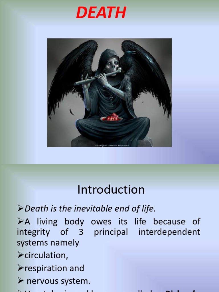 Death | Download Free PDF | Death | Coma